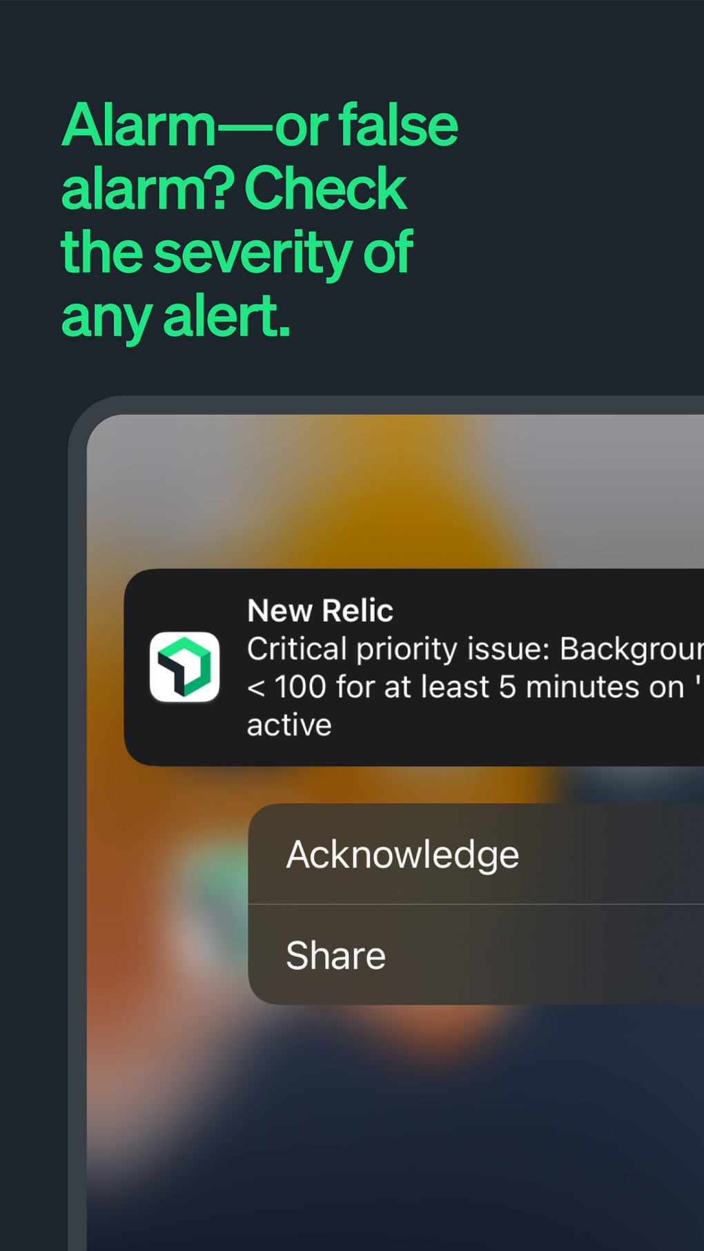 New Relic for iPhone - Download