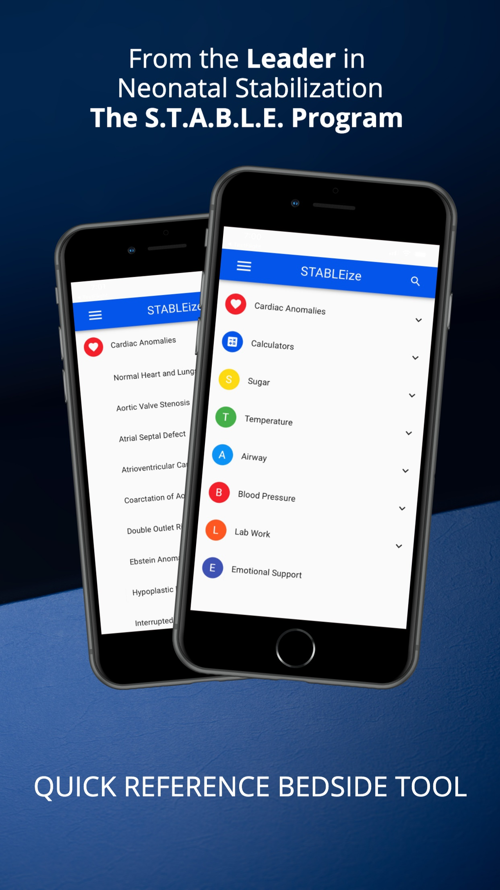 STABLEize - The STABLE Program para iPhone - Descargar