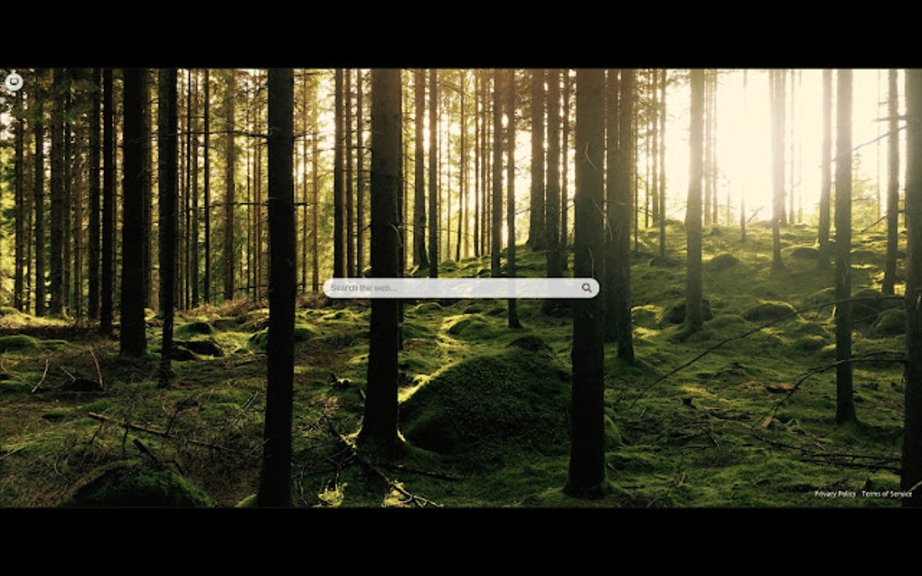 Forest New Tab for Google Chrome - Extension Download