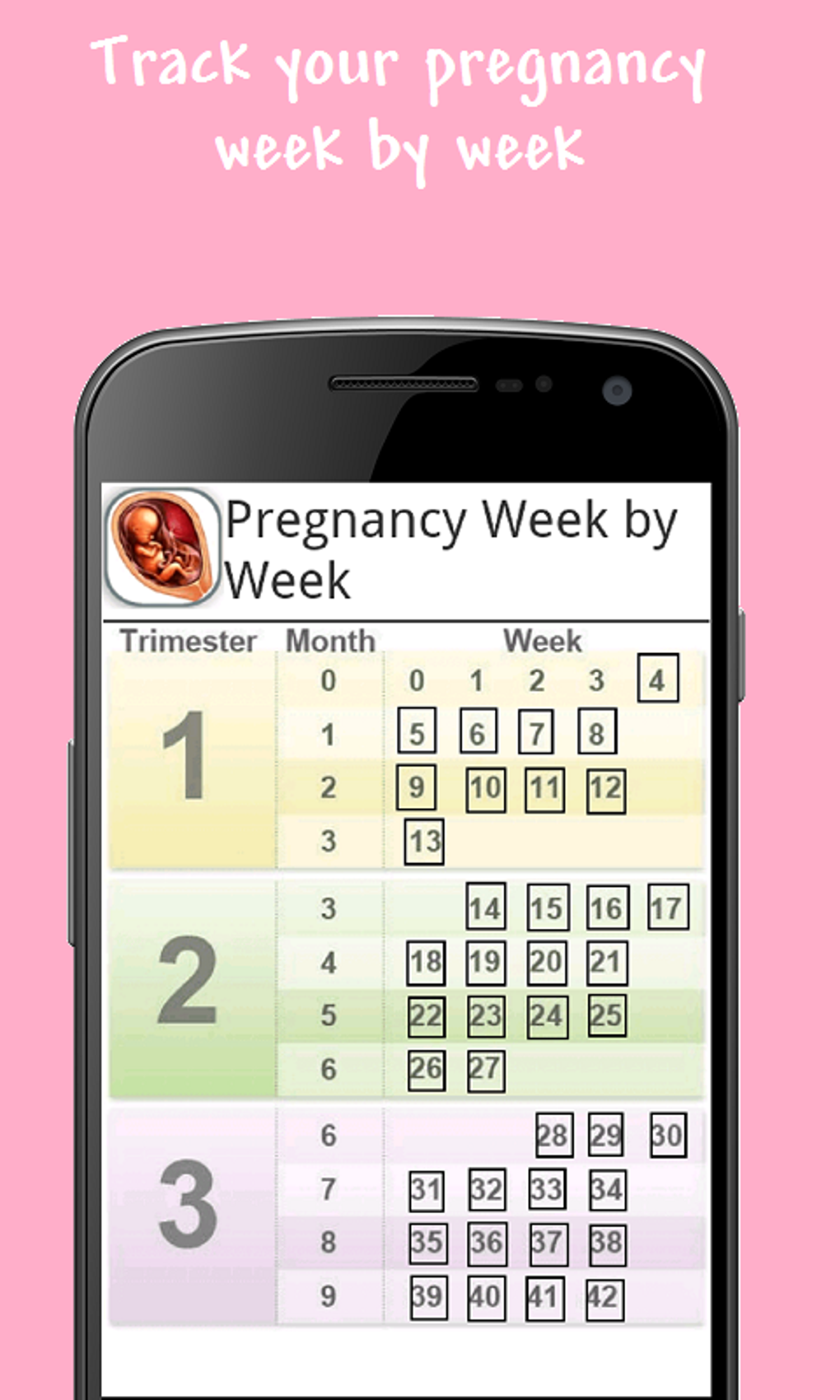 Pregnancy Week by Week para Android - Descargar