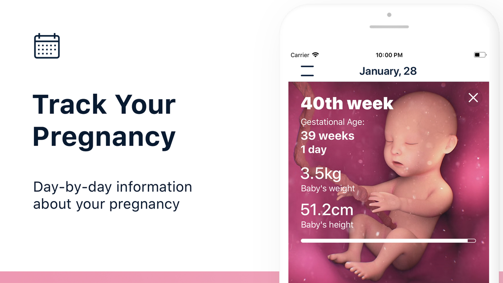 Stork Pregnancy Tracker App for iPhone - Download