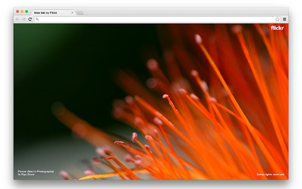 Flickr Tab for Google Chrome - Extension Download