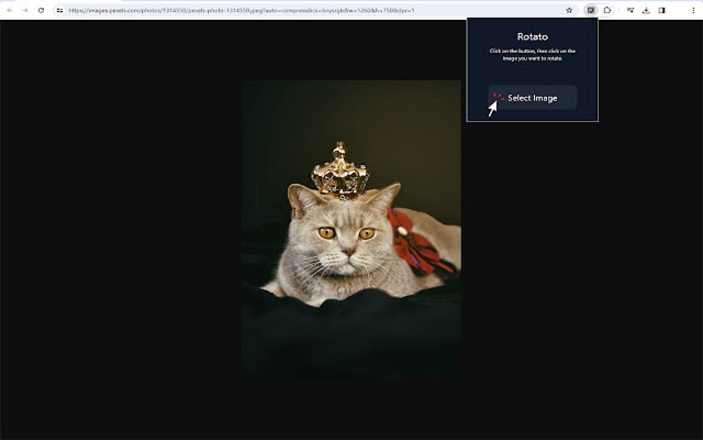 Rotato - Rotate Images in Chrome для Google Chrome - Расширение Скачать