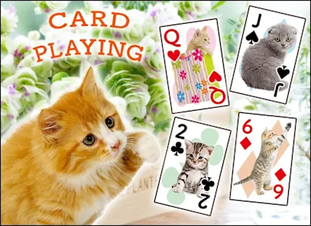 Cats Playing Card Games for Android - Download