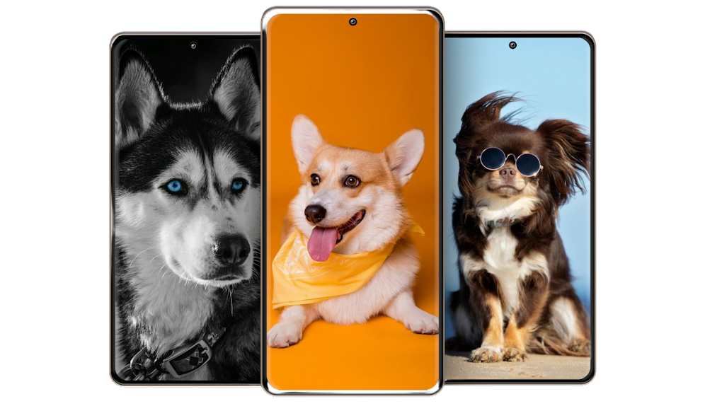 Dog Wallpaper para Android - Descargar