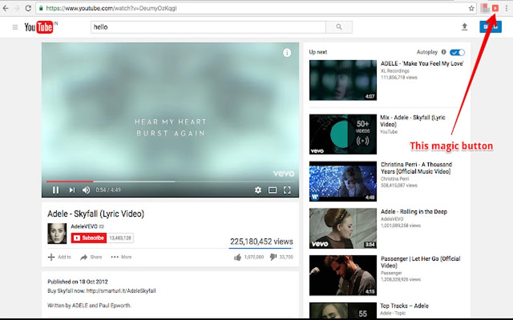 YTPP para Google Chrome - Extensión Descargar