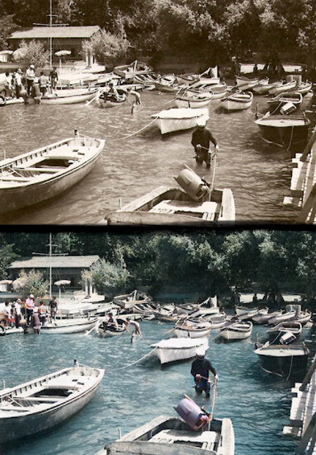 Colorify - Black White Photo Colorizer for Android - Download