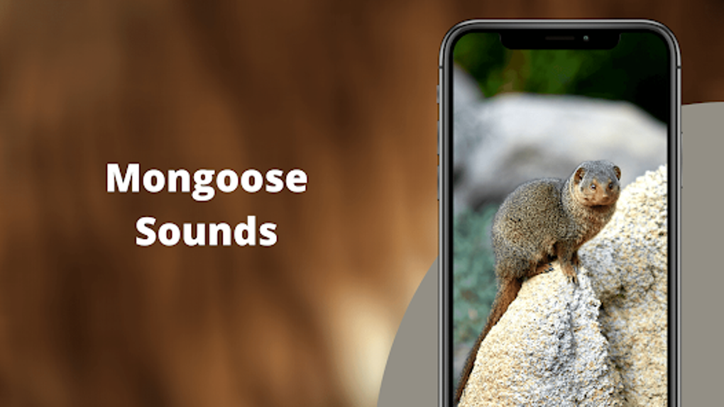 Mongoose Sounds para Android - Descargar