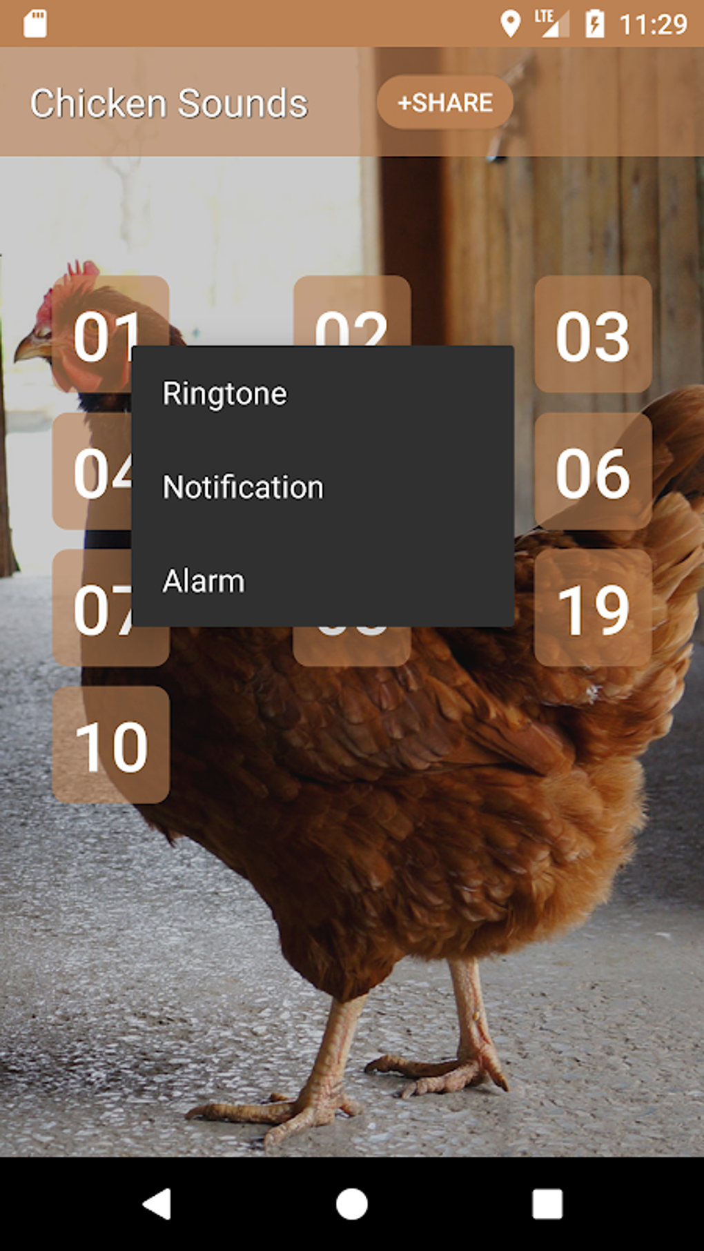 Chicken Sounds APK para Android - Descargar