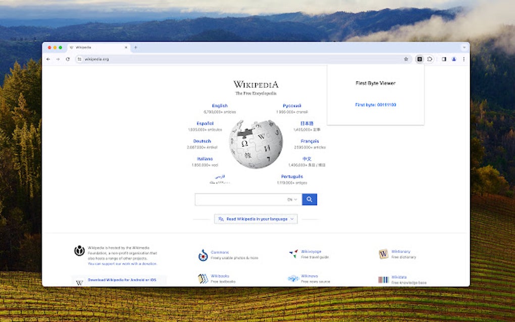First Byte para Google Chrome - Extensión Descargar