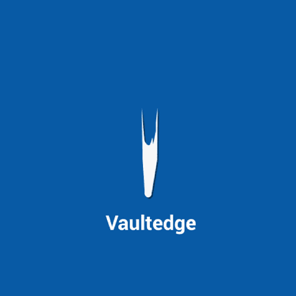 Vaultedge Online