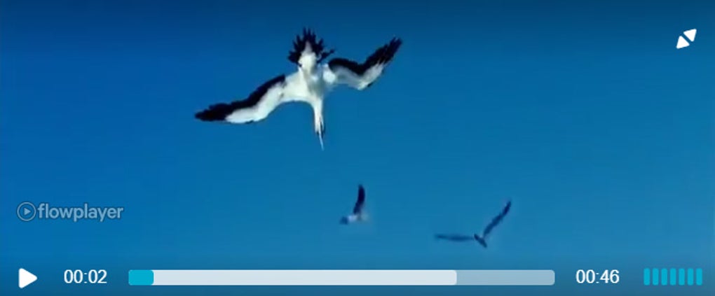 Flowplayer Video Player for WordPress - Download