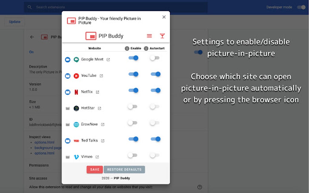 PIP Buddy - Your friendly Picture in Picture для Google Chrome ...