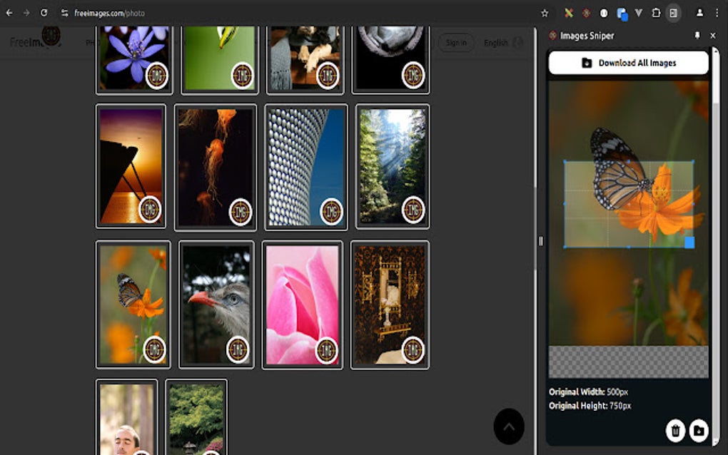 Images Sniper for Google Chrome - Extension Download