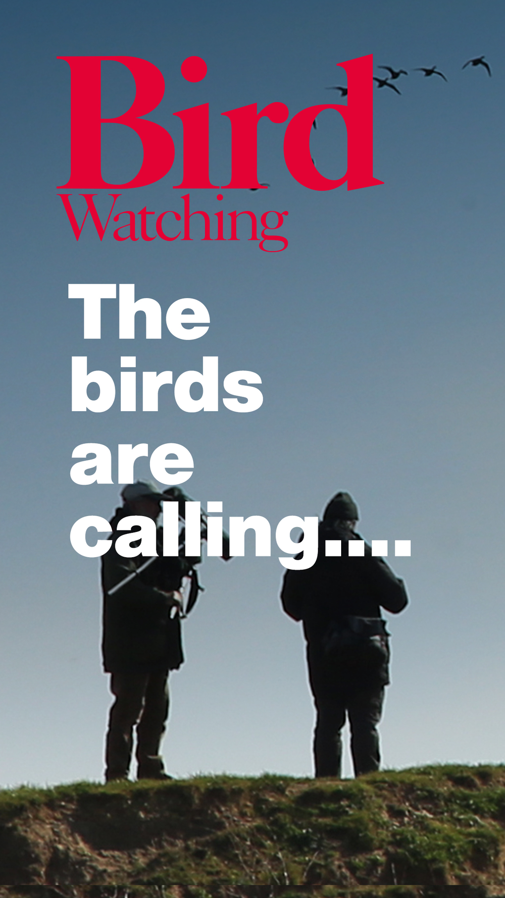 Bird Watching: Expert tips for iPhone - Download Bird Watching: Expert tips for iPhone - Download