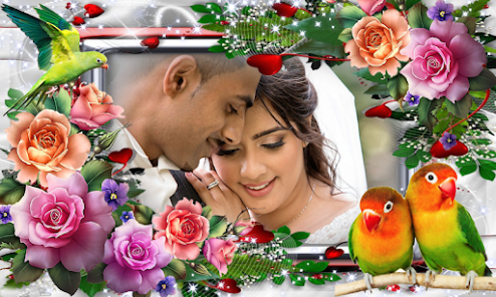 Bird Photo Frame for Android - Download