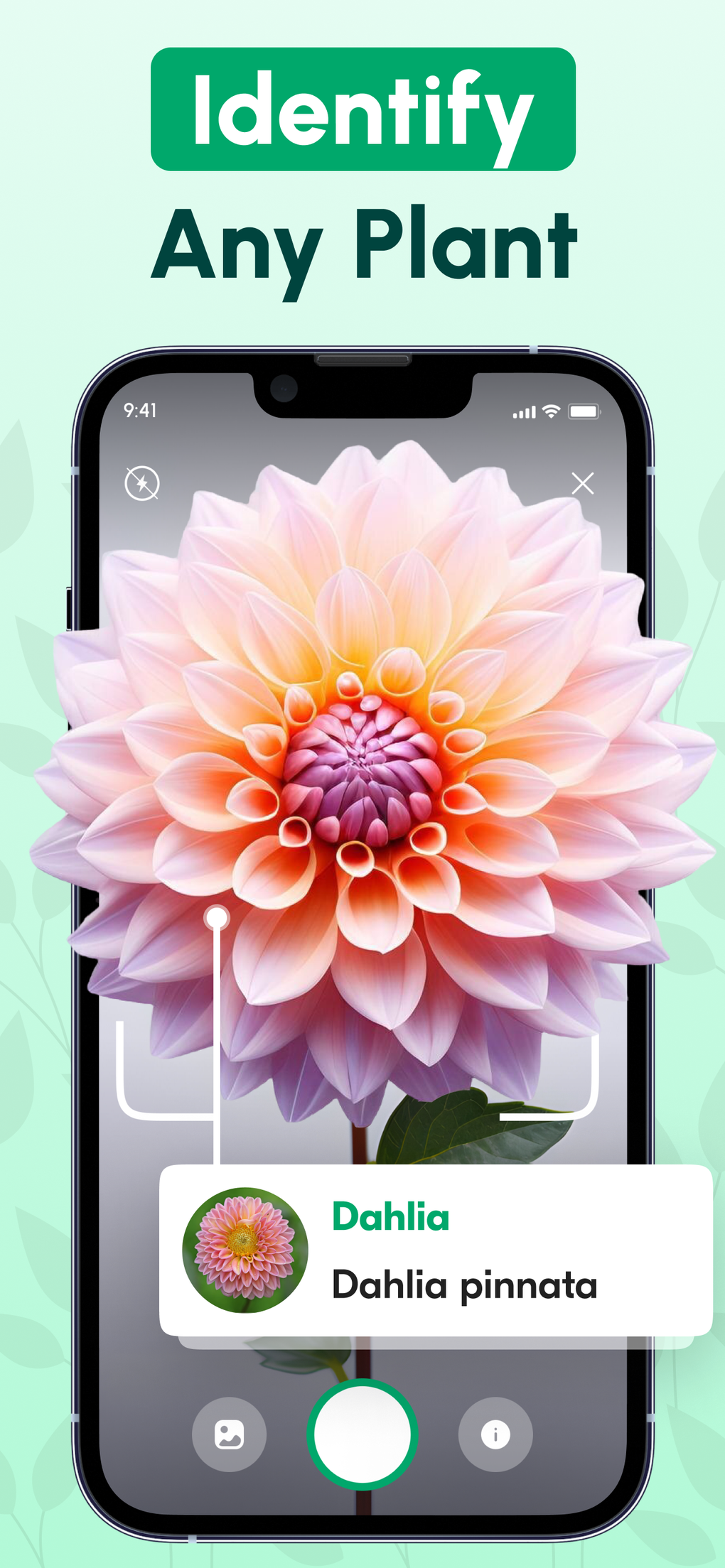 iPhone için Plant Identifier Plant Snap - İndir