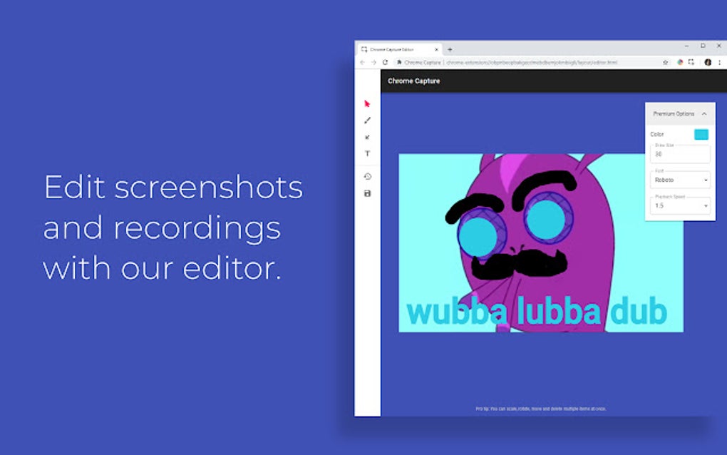 Chrome Capture - Gif & Screenshot tool for Google Chrome - Extension ...
