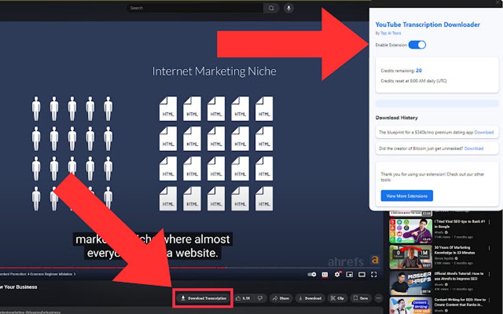 YouTube Transcription Downloader สำหรับ Google Chrome - ส่วนขยาย ดาวน์โหลด