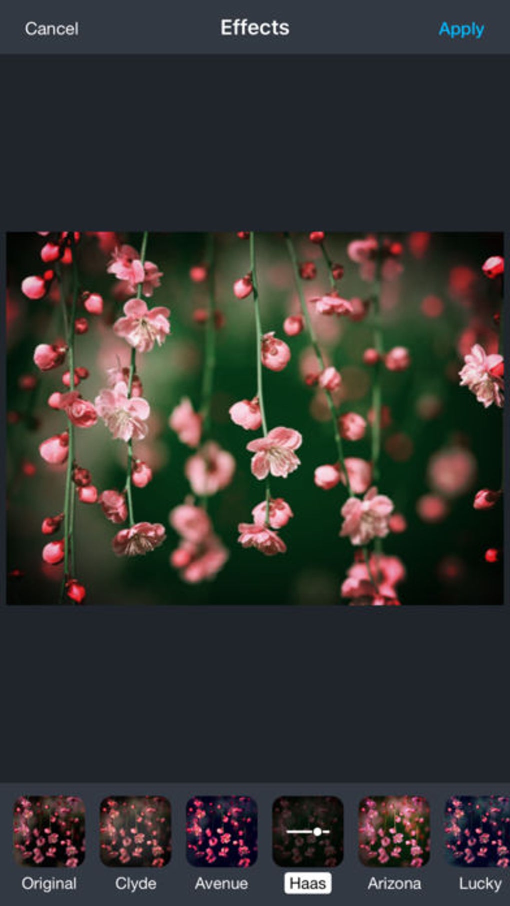 10000 Wallpapers Themes per iPhone - Download