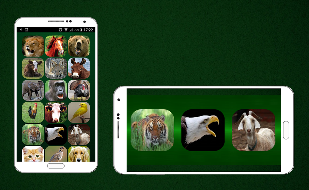 Animal Sounds APK for Android - Download