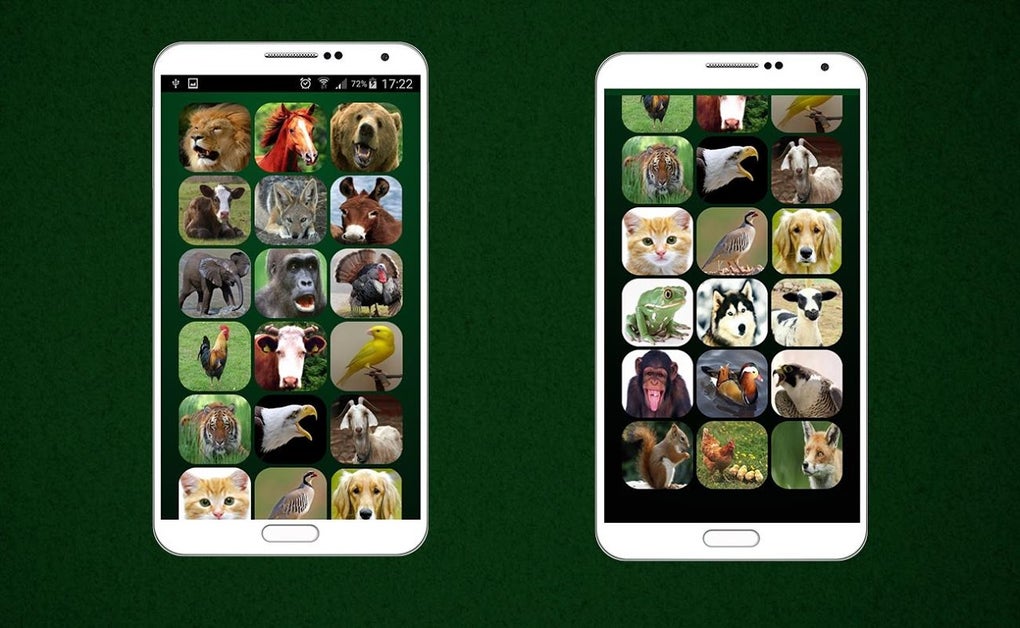 Animal Sounds APK para Android - Descargar