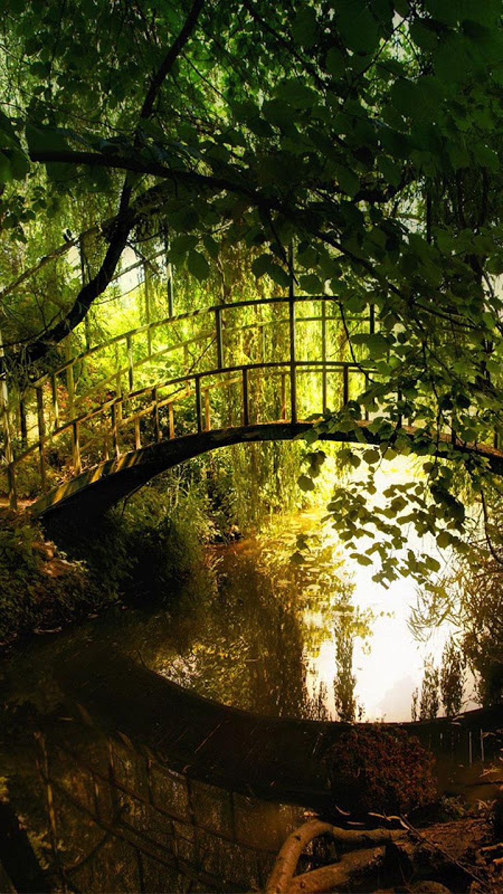 Jungle Live Wallpaper para Android - Descargar