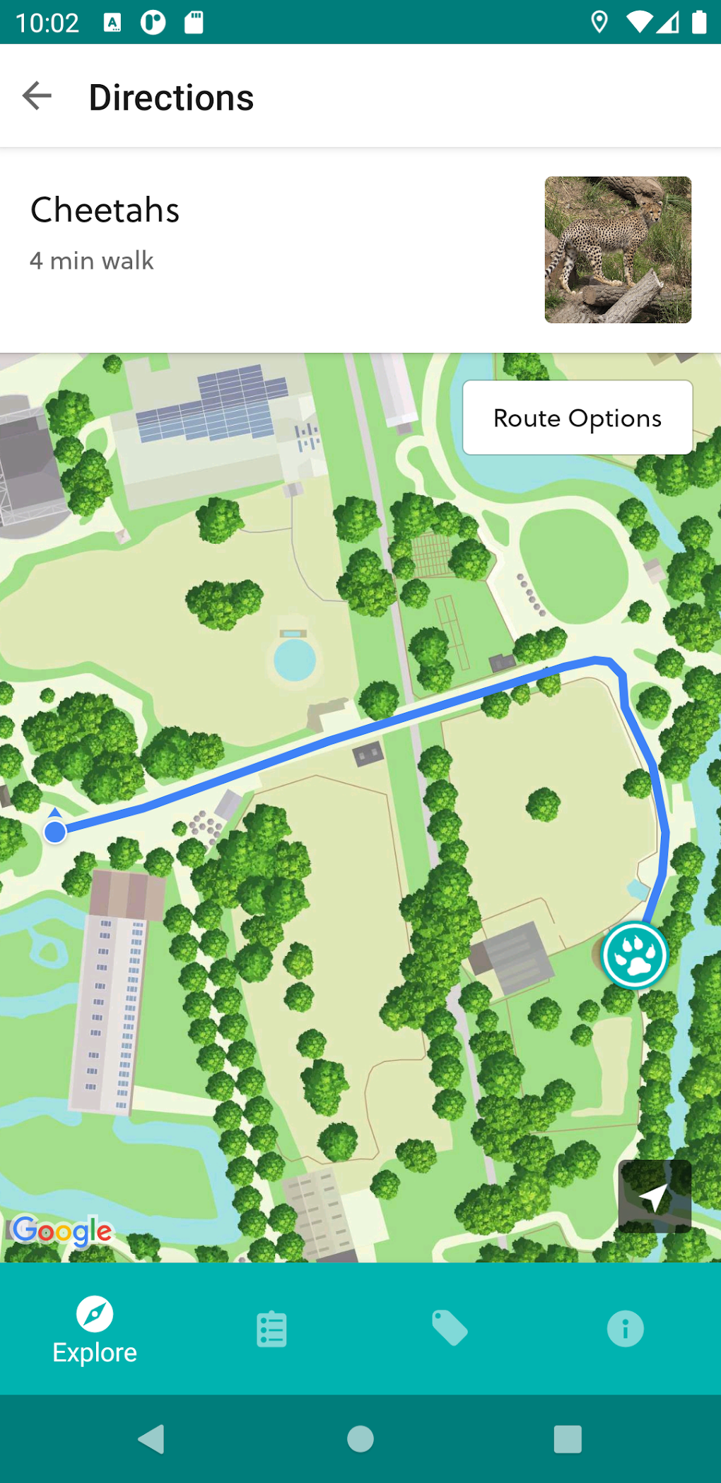 Chester Zoo for Android - Download