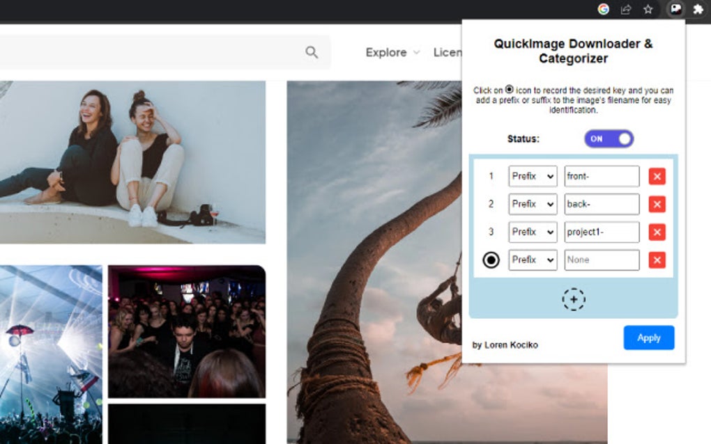 QuickImage Downloader & Categorizer for Google Chrome - Extension Download
