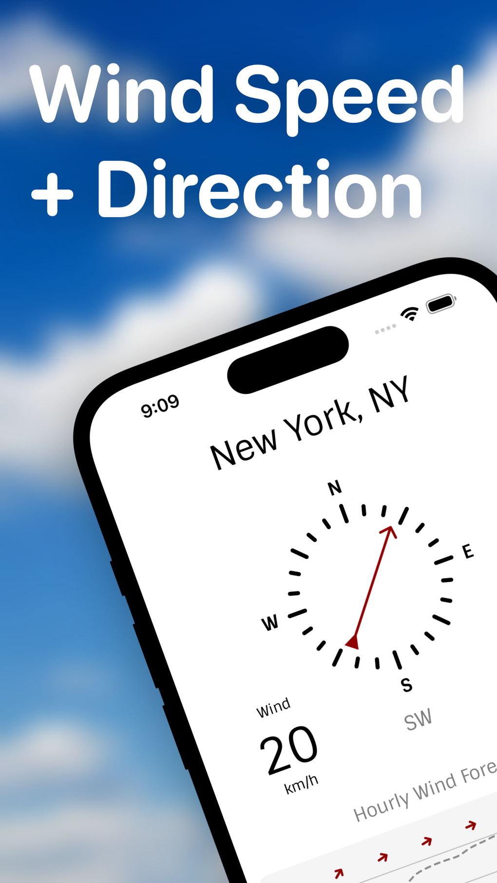 Wind Compass - Windygo for iPhone - Download