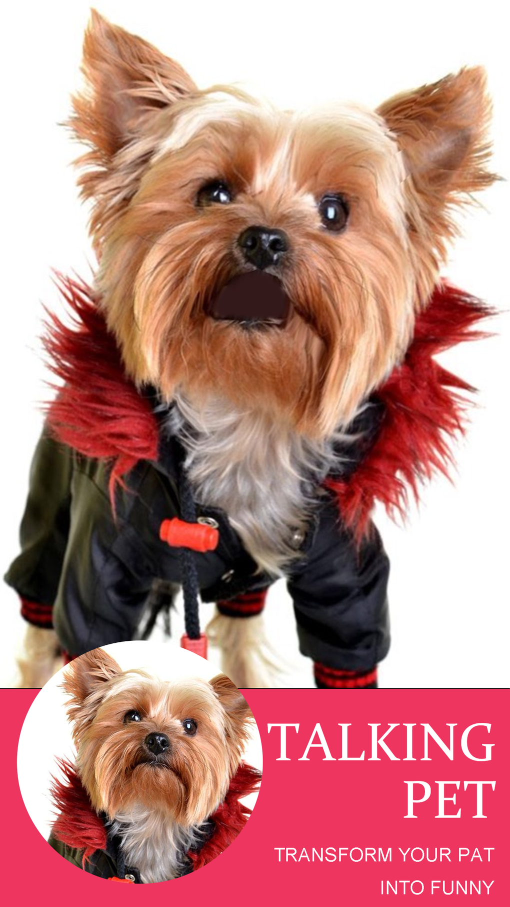 Talking Pet - AI Animal Editor for iPhone - 無料・ダウンロード