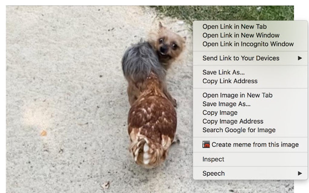 Imgflip Quick Create for Google Chrome - Extension Download