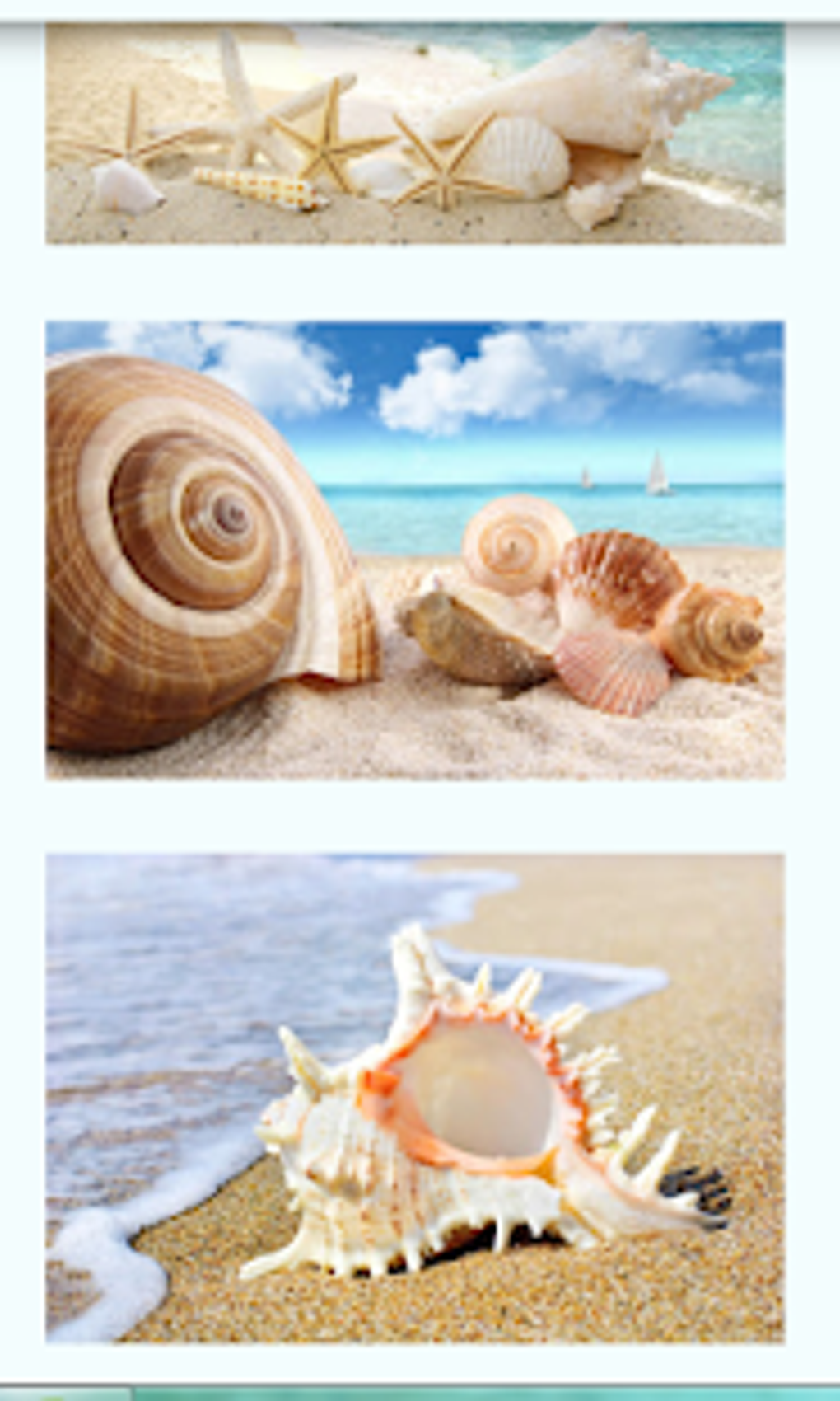Seashells Images Wallpapers APK for Android - Download