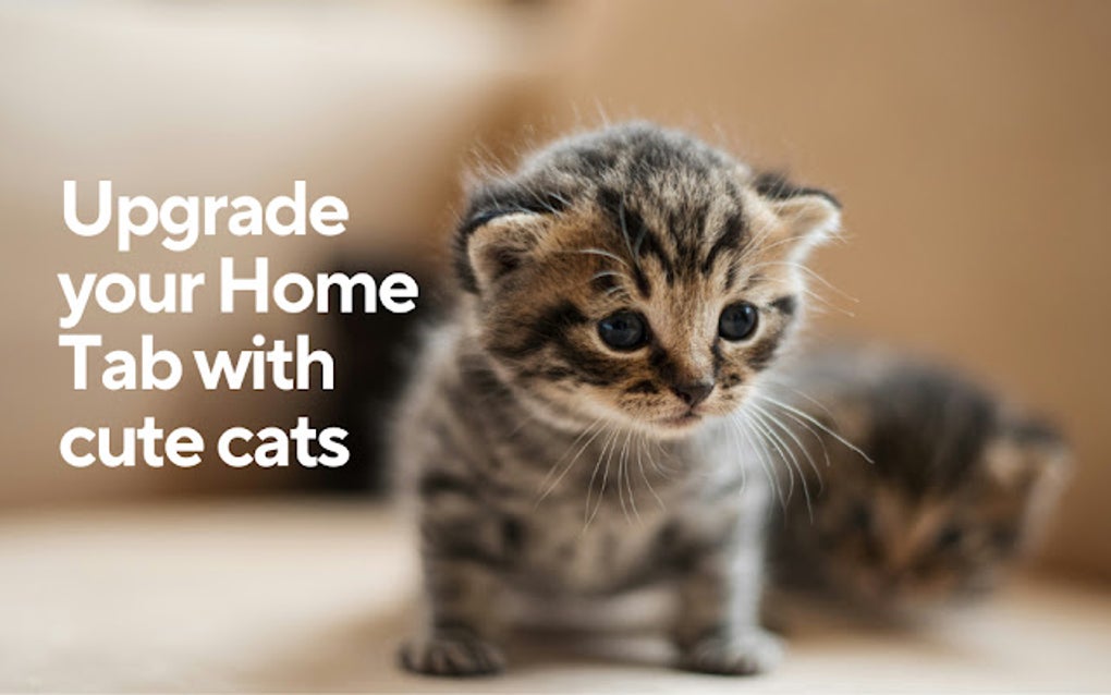 Cute Cat Wallpapers - New Tab for Google Chrome - Extension Download