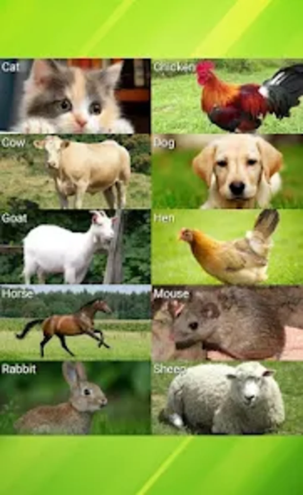 Animal Sounds para Android - Descargar
