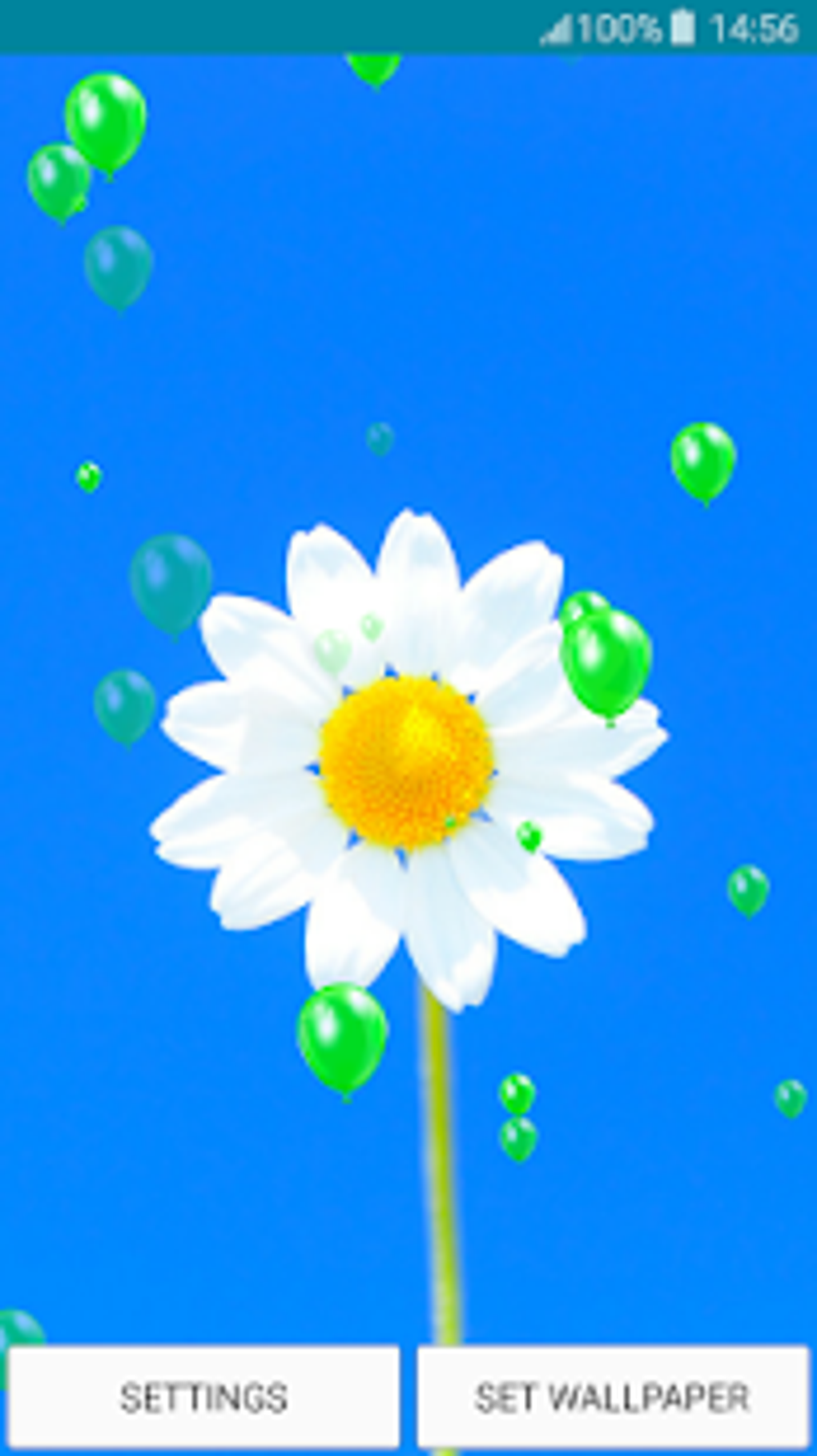 Live Wallpapers Daisy APK para Android - Descargar
