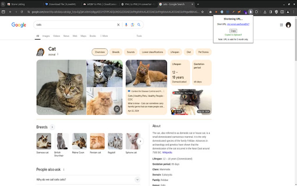 URL Shortener for Google Chrome - Extension Download