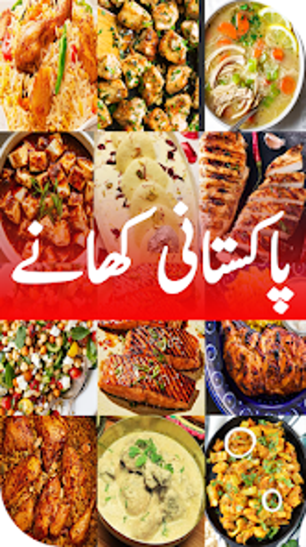 Pakistani Recipes In Urdu 2023 Android 