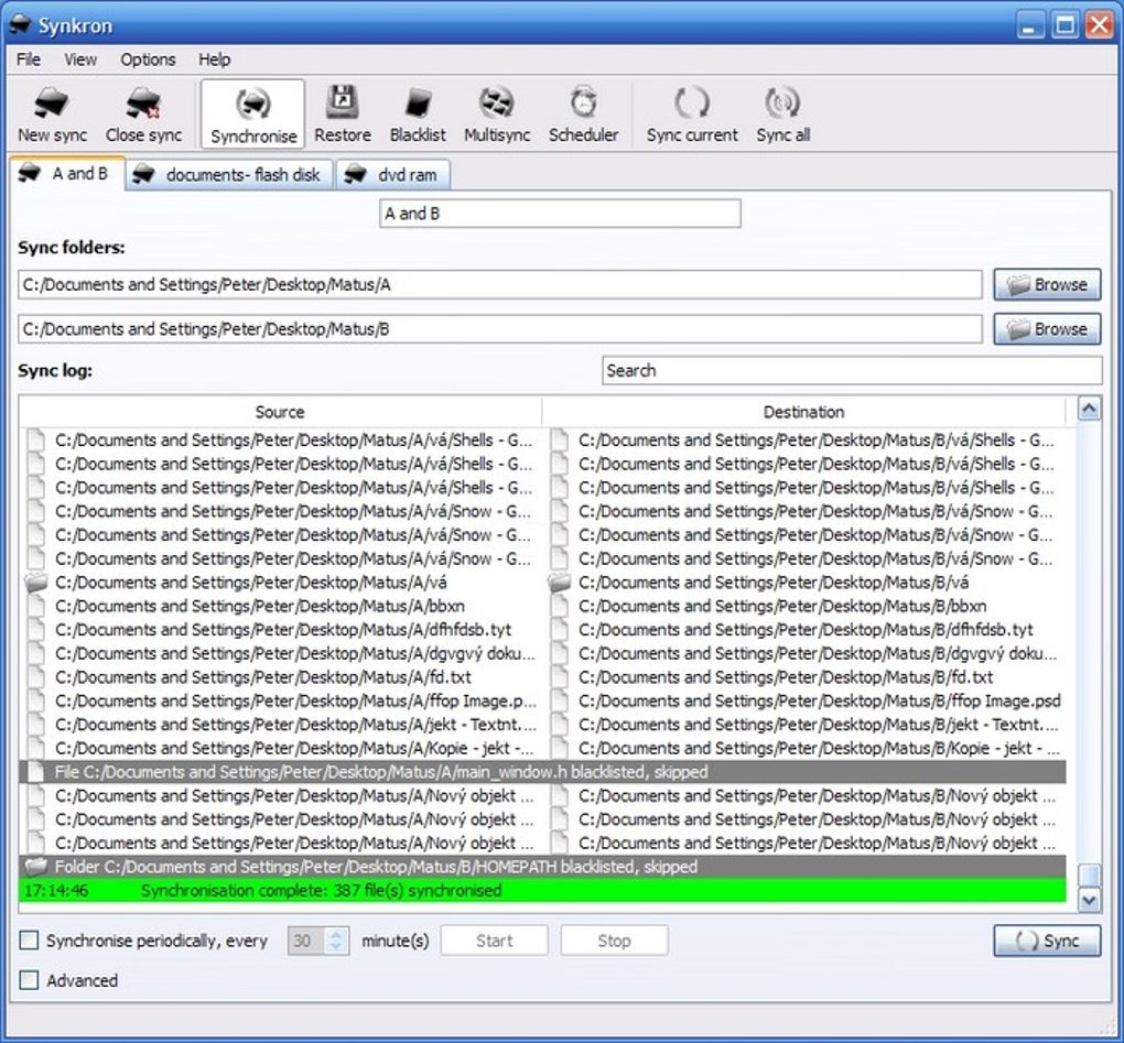 Synkron Portable - Télécharger