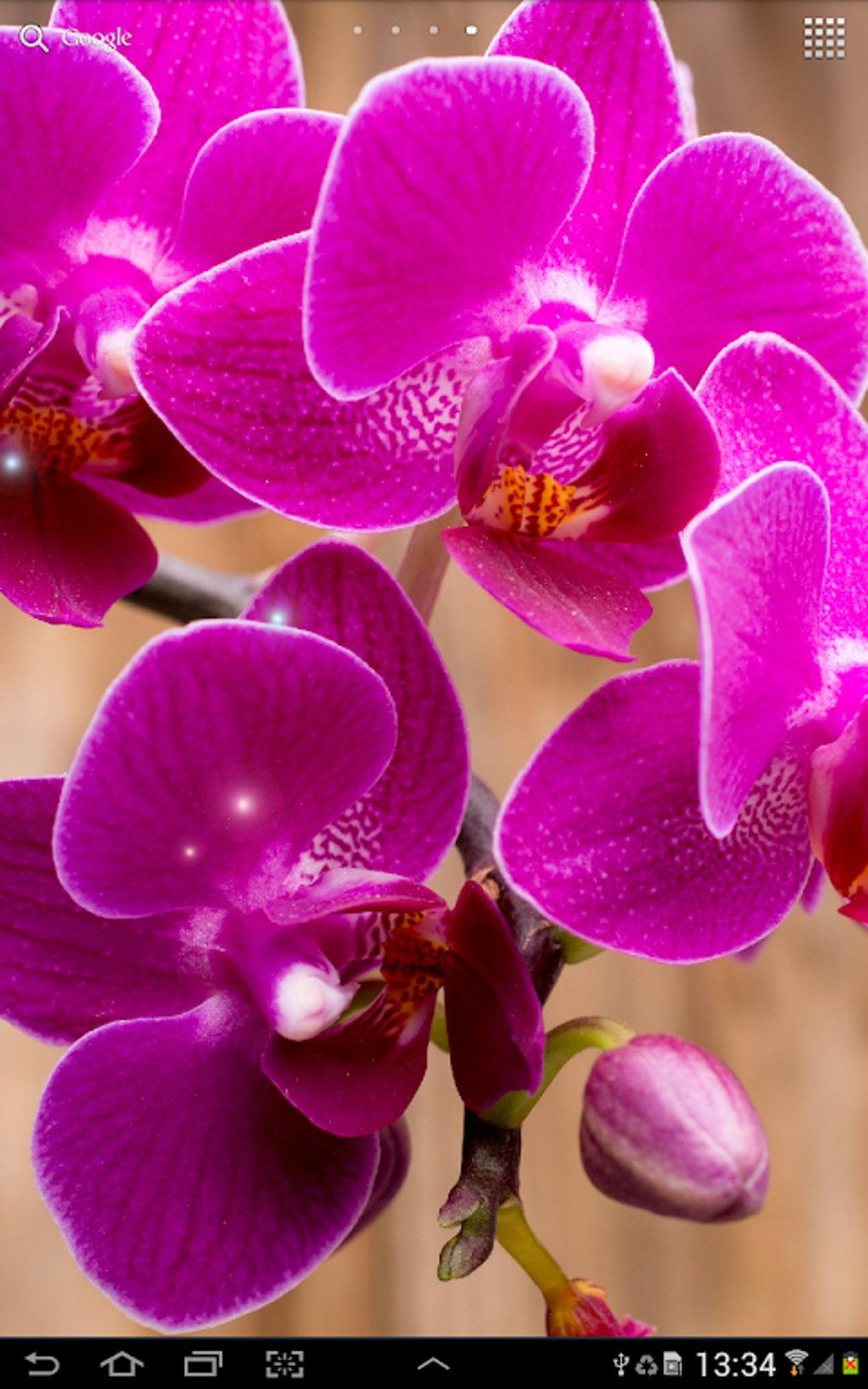 Orchids Wallpaper APK per Android - Download