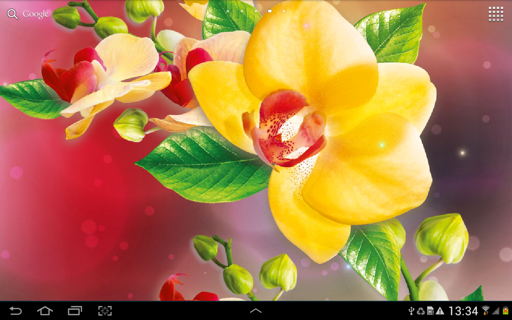 Orchids Wallpaper APK for Android - Download