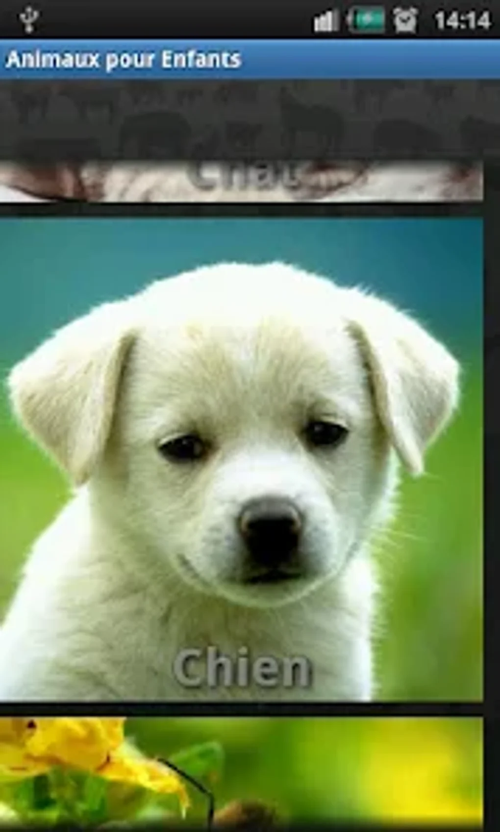 Animal Sounds pour Android - Télécharger