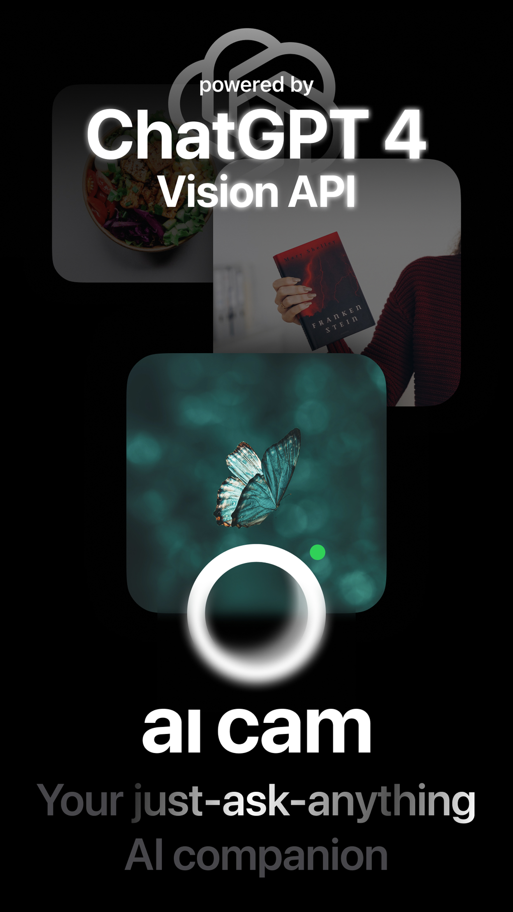 AI Cam Ask Vision GPT for iPhone - Download