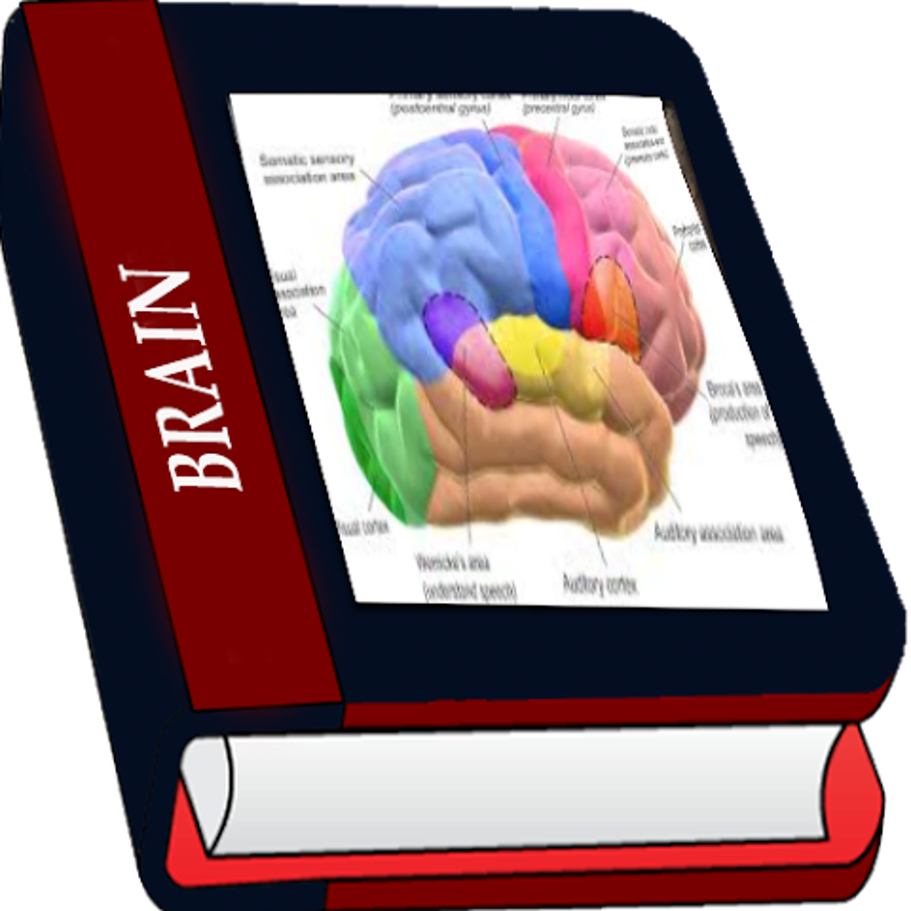 Brain Android 