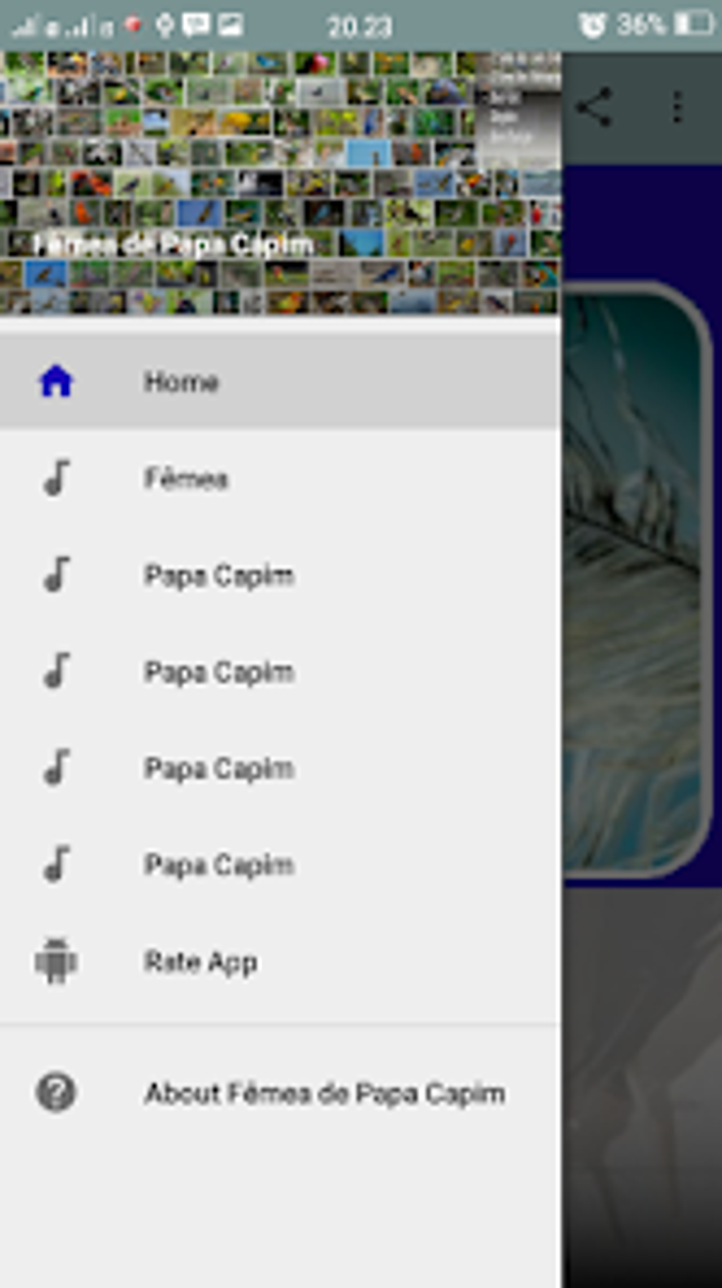 Canto Fêmea de Papa Capim for Android - Download
