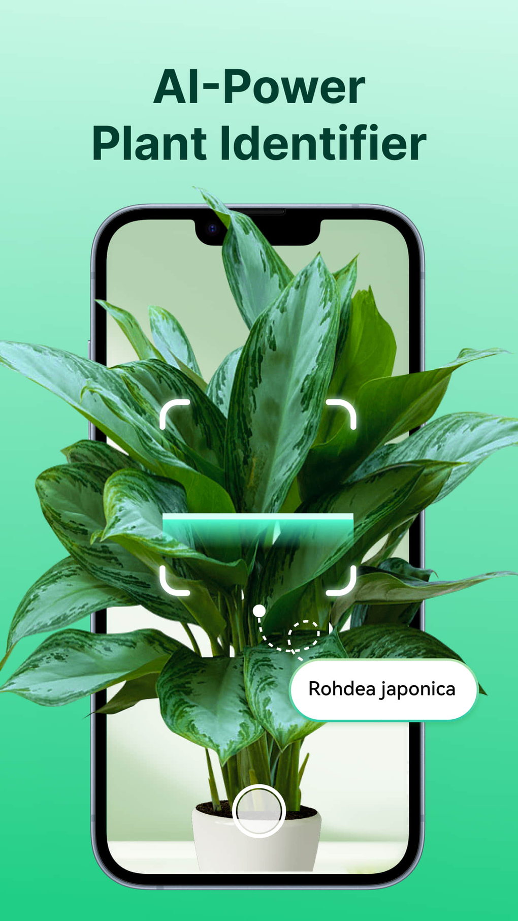 AI Plant Identifier For IPhone Download