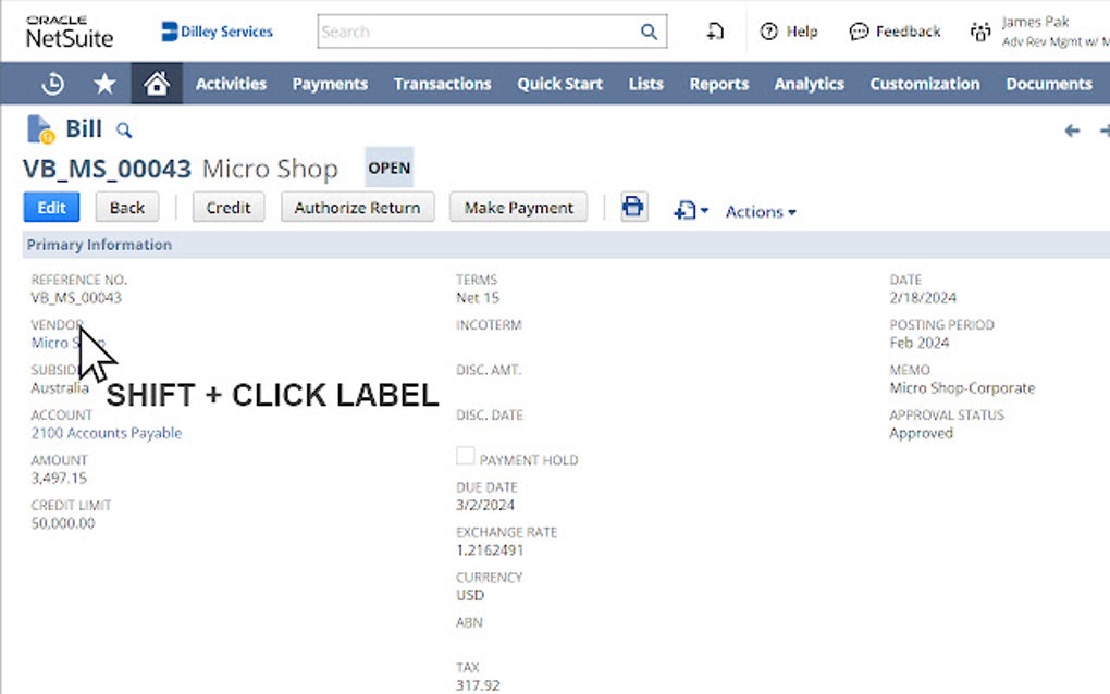 NetSuite Copy Field Internal IDs pour Google Chrome - Extension Télécharger
