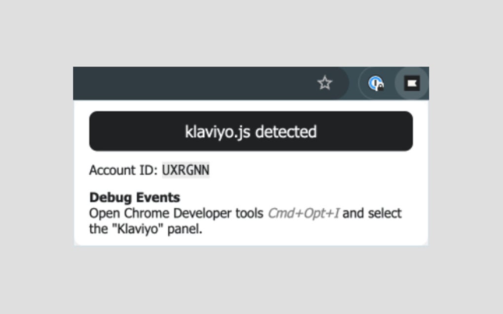Klaviyo Developer Tools for Google Chrome - Extension Download
