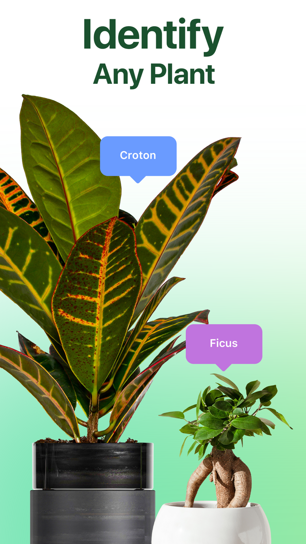 NatureID Plant Identification For IPhone Download NatureID Plant Identification For IPhone Download