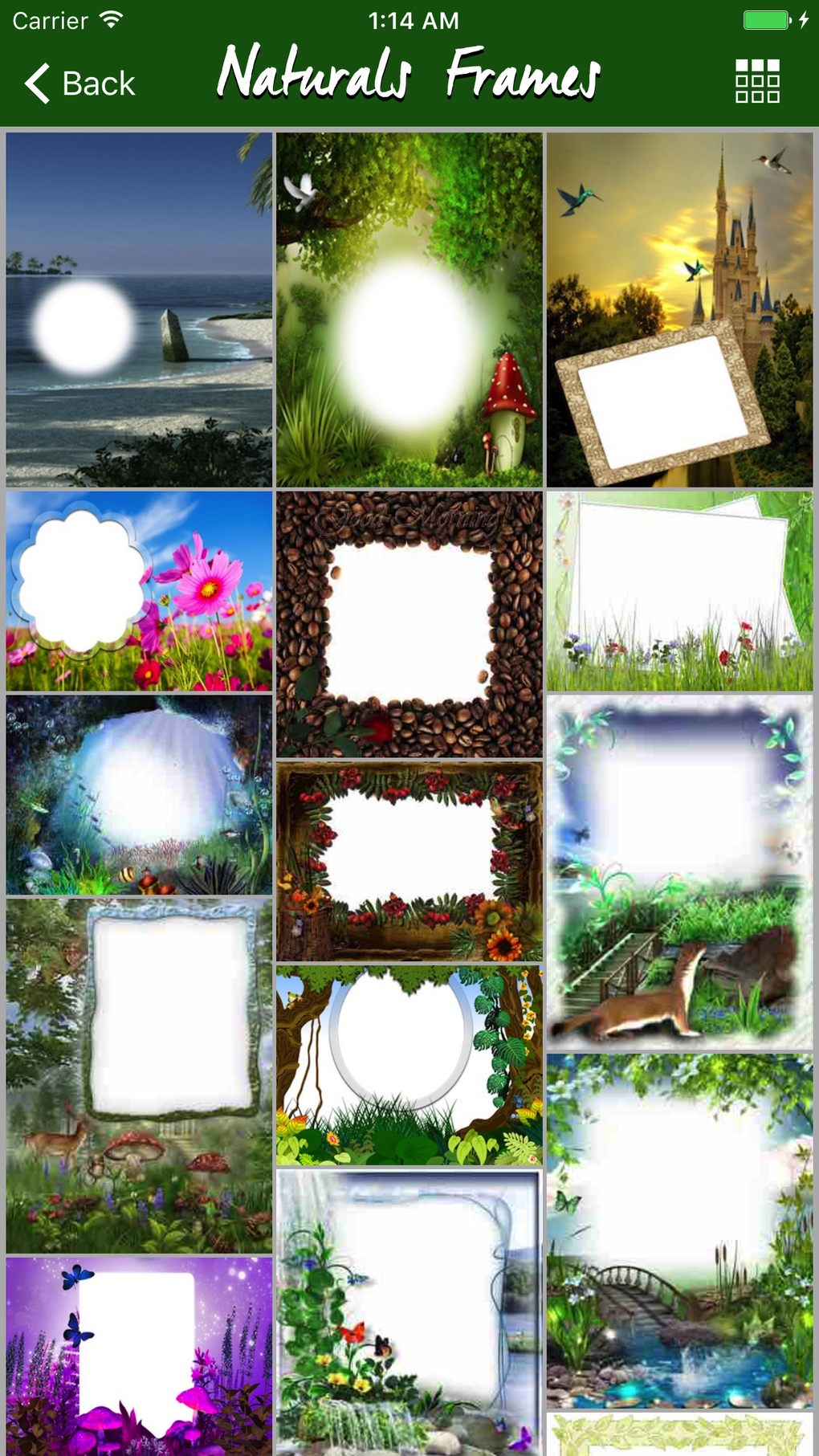 Nature Photo Frames - Natural Greenery Forrest for iPhone - Download